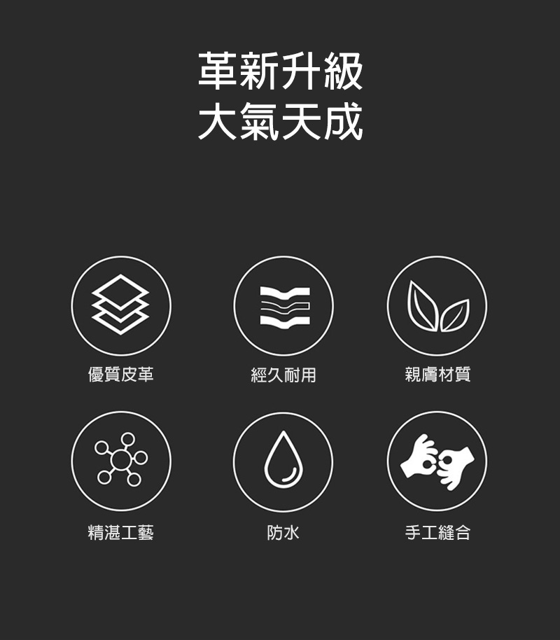 DUX DUCIS AFAMIC 艾法-C18P/CV23/TA20/C19/C18通用款商務款真皮表帶(20mm) - PChome 24h購物